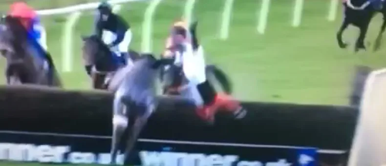 Vine: This jockey’s fall was nothing short of spectacular - JOE.co.uk