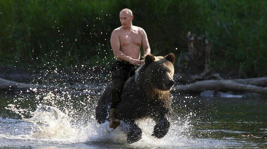 President Putin is the new face of Instagram fitness inspiration (Pics ...