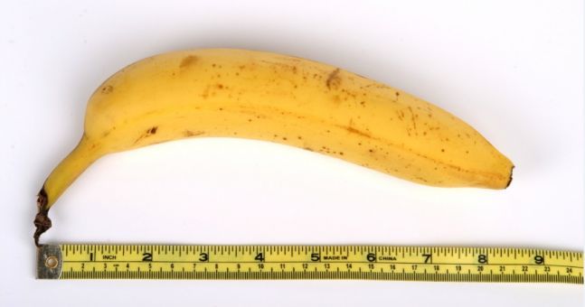 Man with longest penis in the world claims his huge wang is a ...