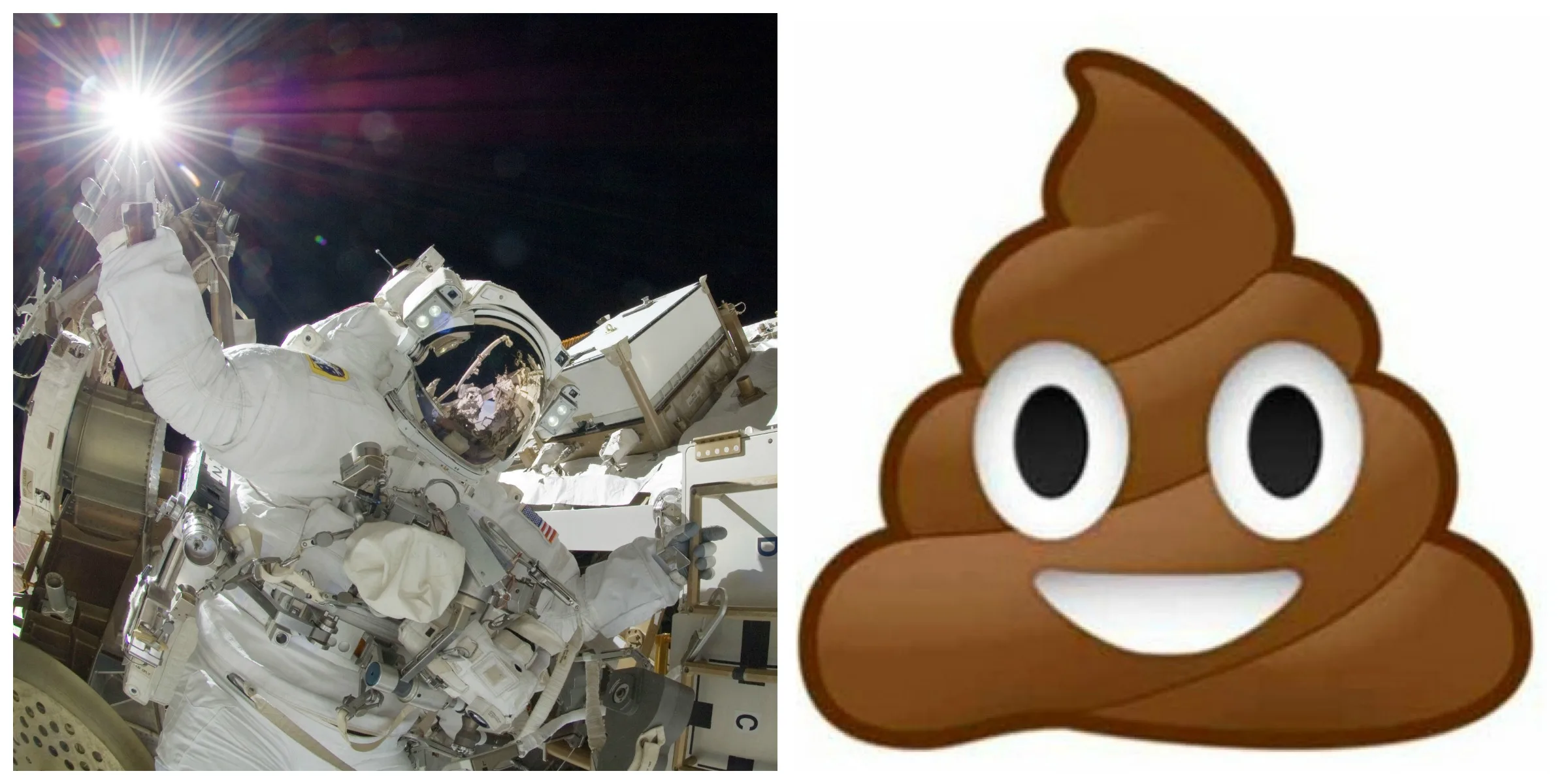 VIDEO: British astronaut Tim Peake explains how to poop in space - JOE ...