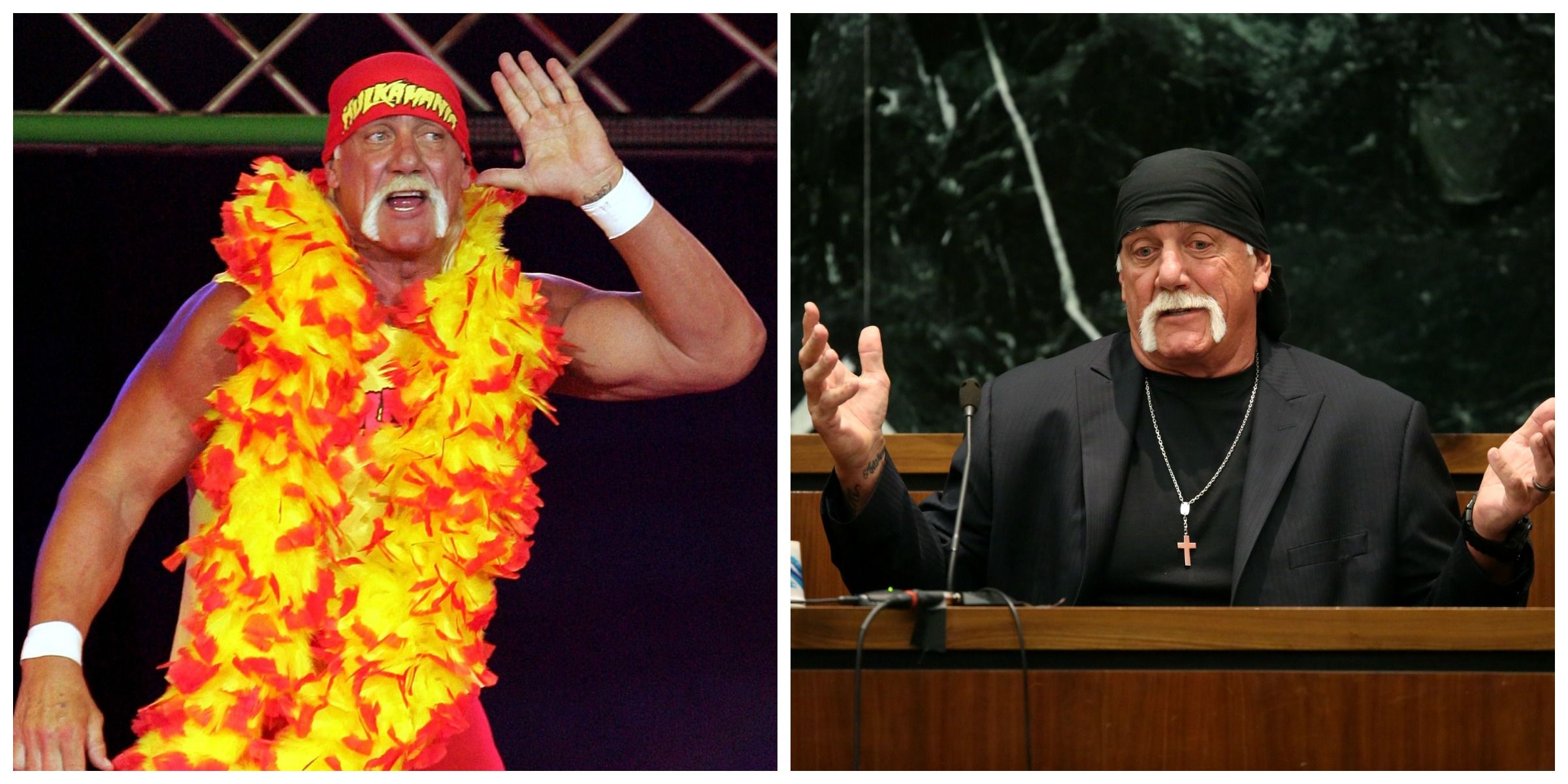 PIC: Hulk Hogan celebrates Gawker lawsuit victory with bizarre tweet ...