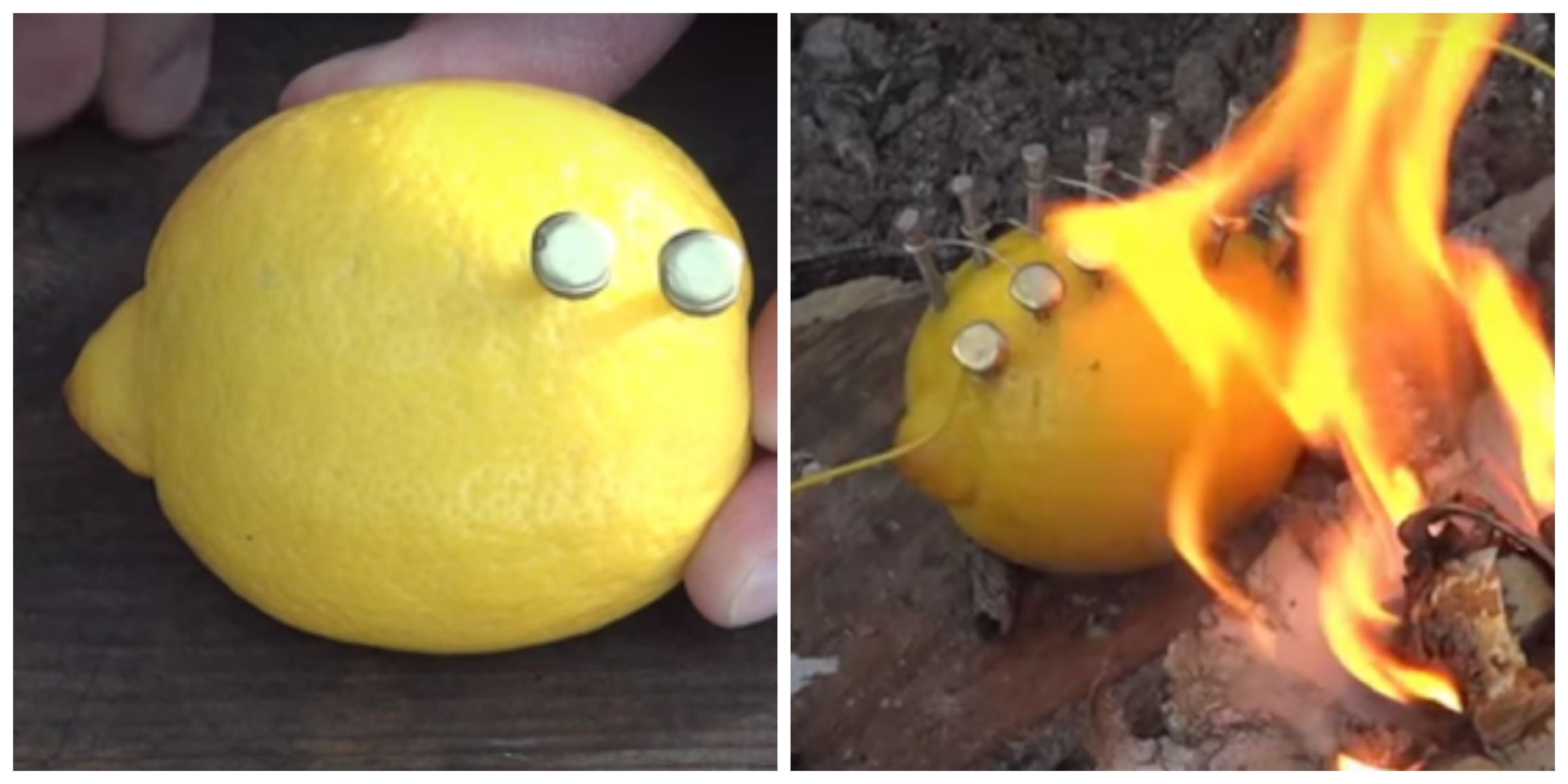 VIDEO: A crash course in how to start your own fire using a lemon - JOE ...