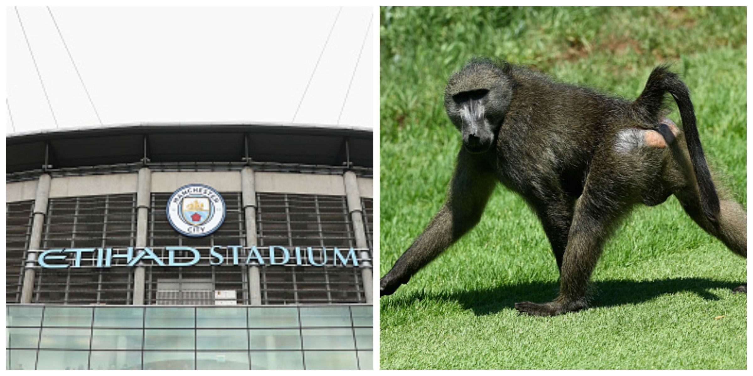 People have spotted someone mooning in this photo of Man City's stadium ...