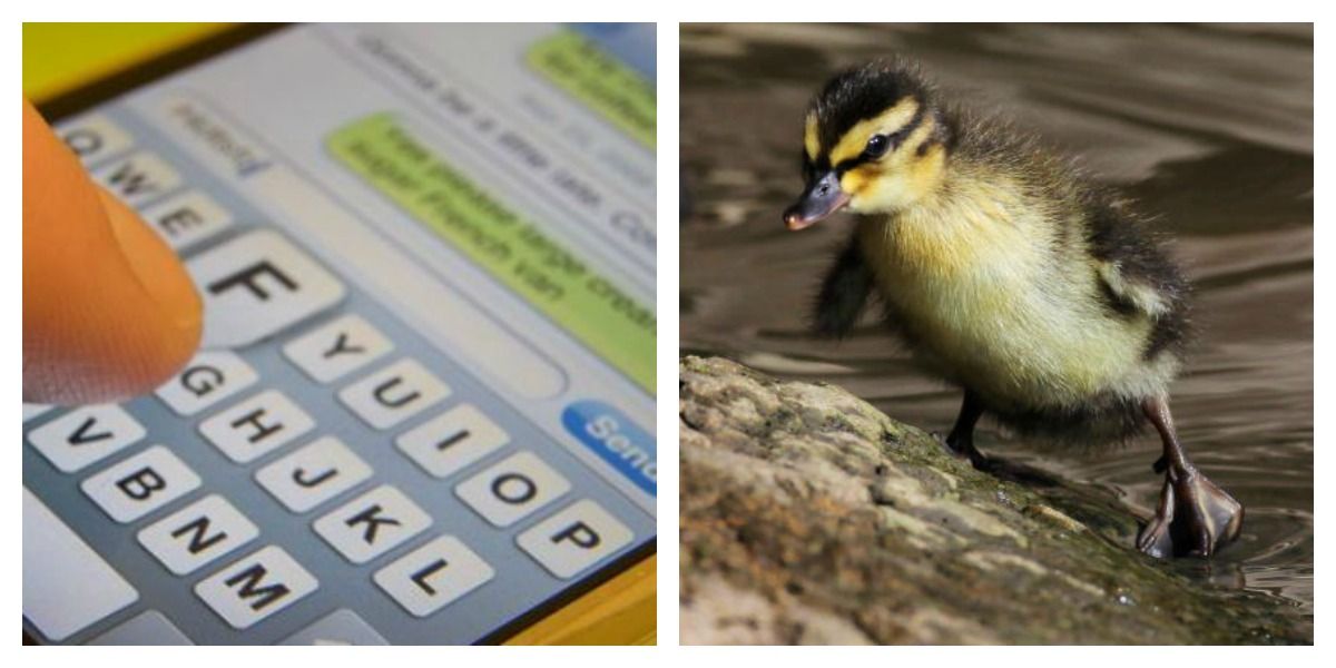 There's one simple trick to fix your "Ducking" autocorrect problem ...