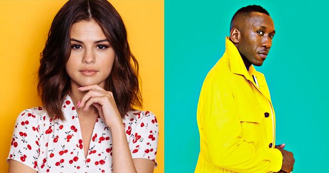 Can We Guess Your Age Gender And Hair Colour From Just 10 Questions