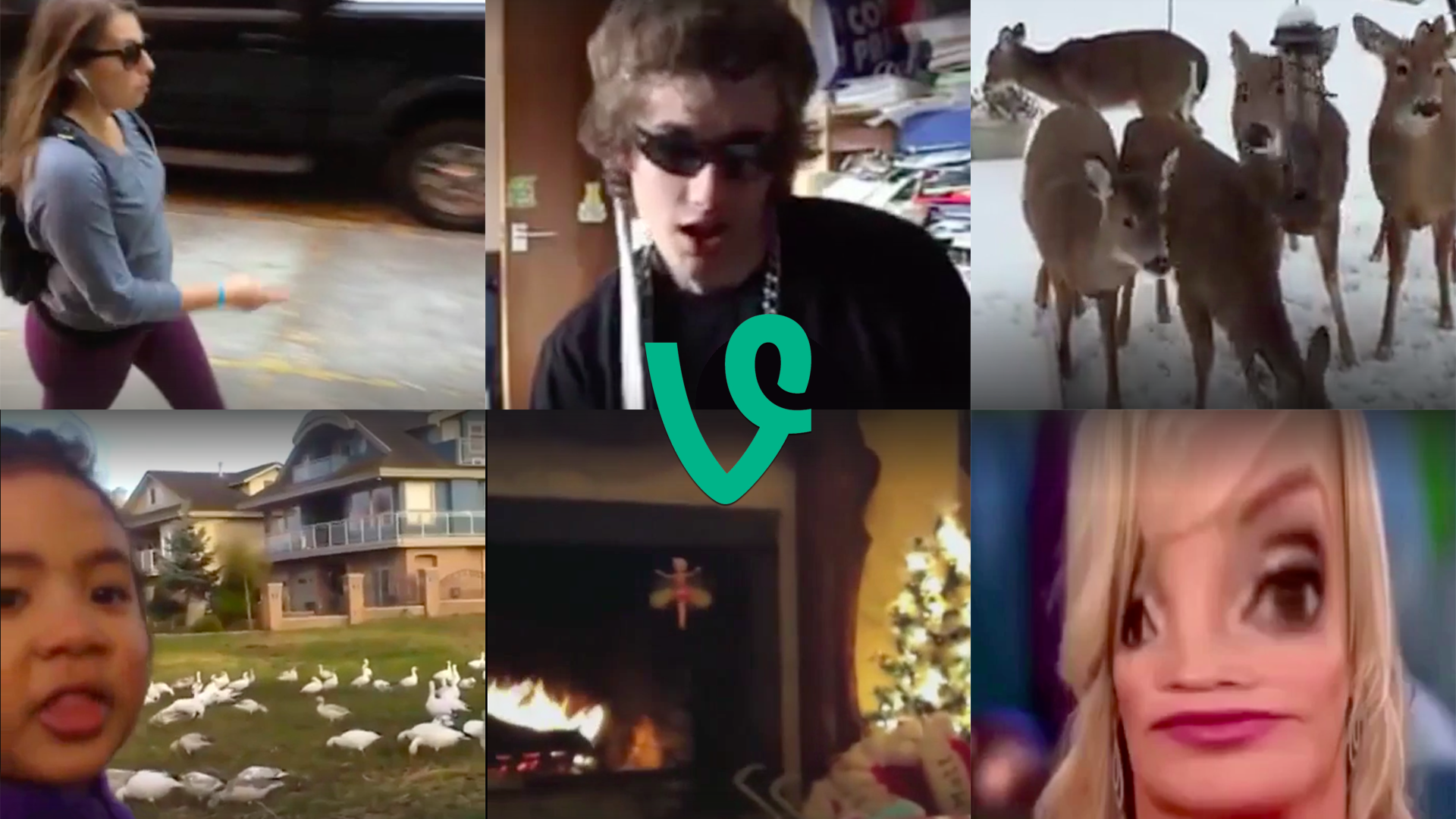 We went in deep on some of the greatest Vines to try work out why they ...