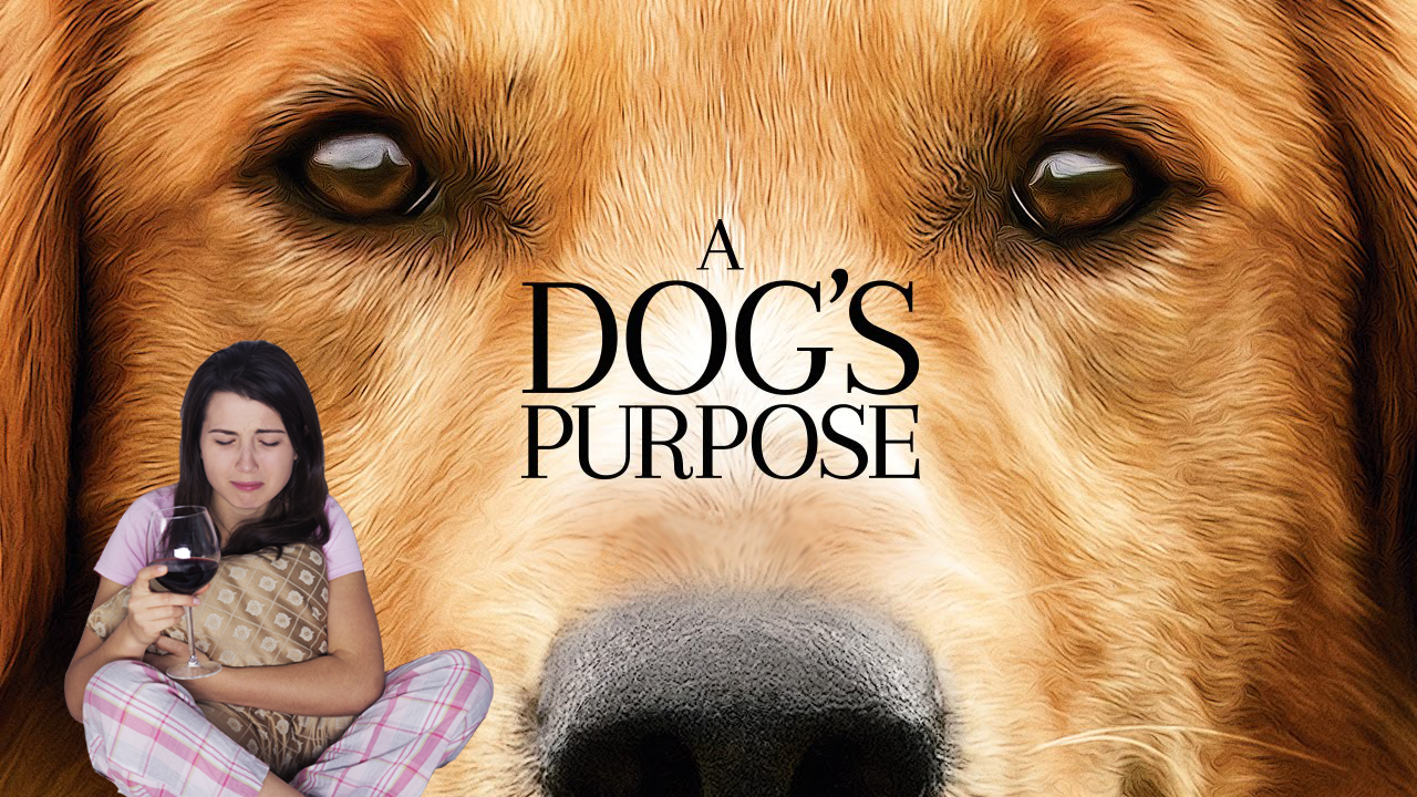 I watched A Dog s Purpose while I was tipsy and this is my story JOE