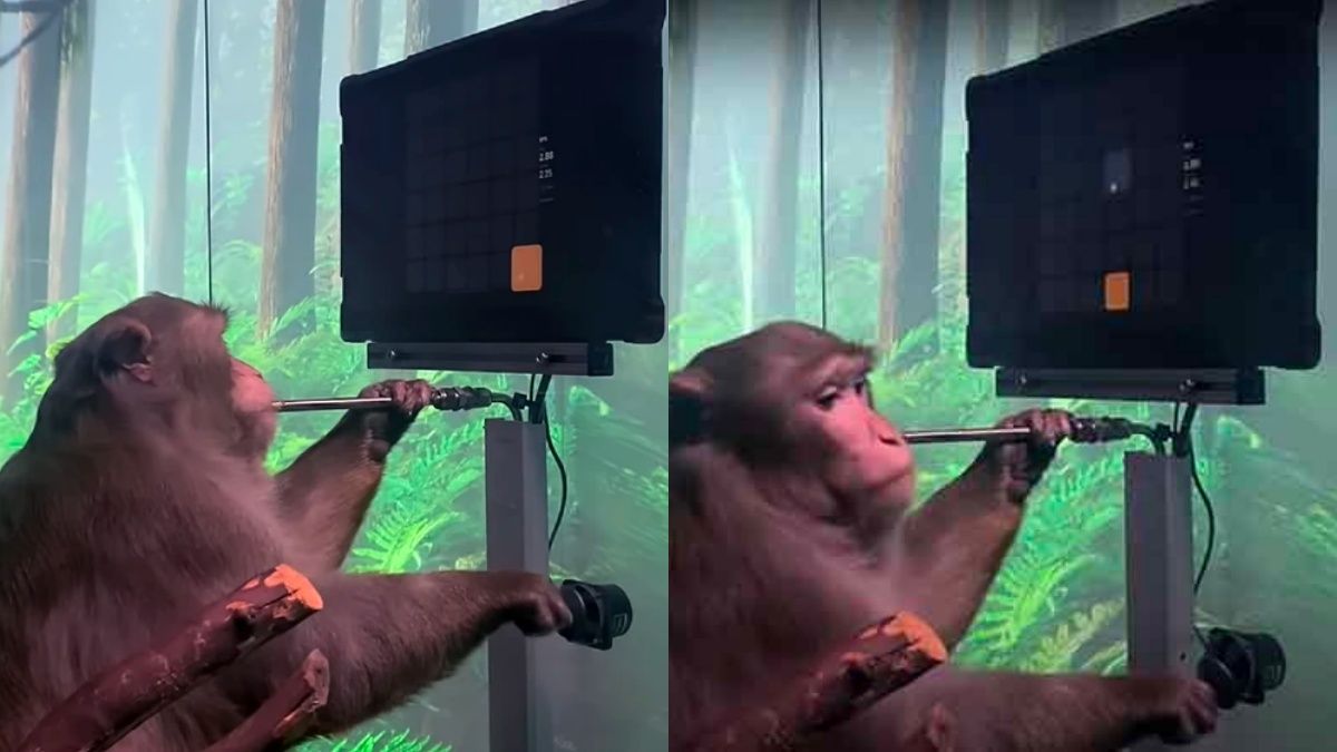 Elon Musk's Neuralink company shares video of monkey playing Pong with ...
