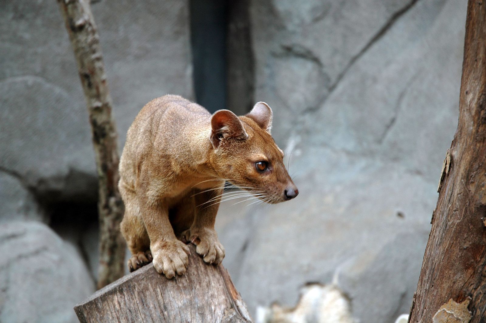 The JOE Friday Pub Quiz: Week 253 - JOE.co.uk