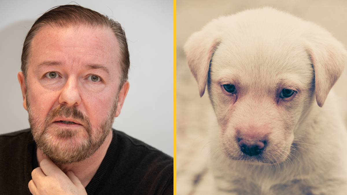 Ricky Gervais lobbies for ban on all animal experiments in UK - JOE.co.uk