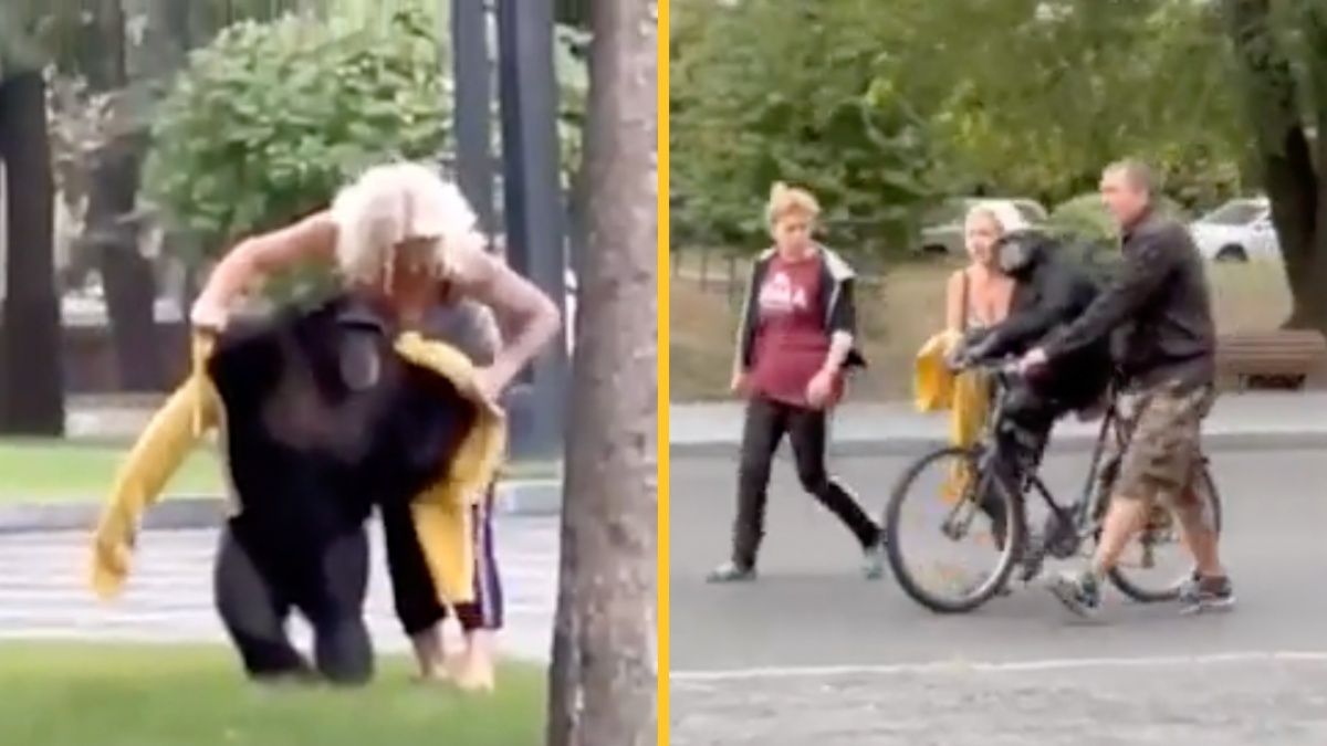 Chimpanzee escapes Ukraine zoo - returns to park on bicycle with raincoat