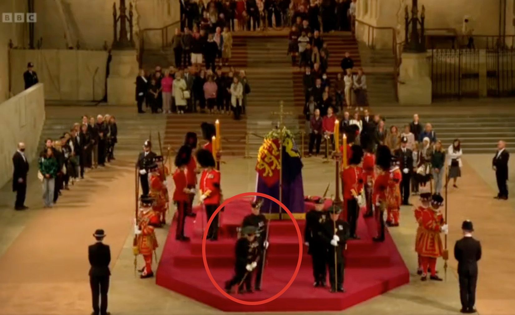 Queen's guard collapses and falls from coffin podium - JOE.co.uk