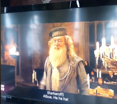 Dumbledore Goblet Of Fire