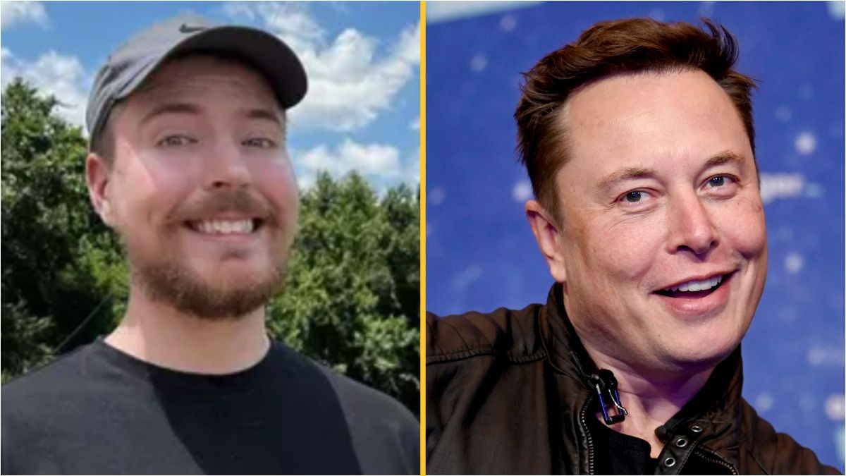 MrBeast asks if he can be the new Twitter boss and Elon Musk responds