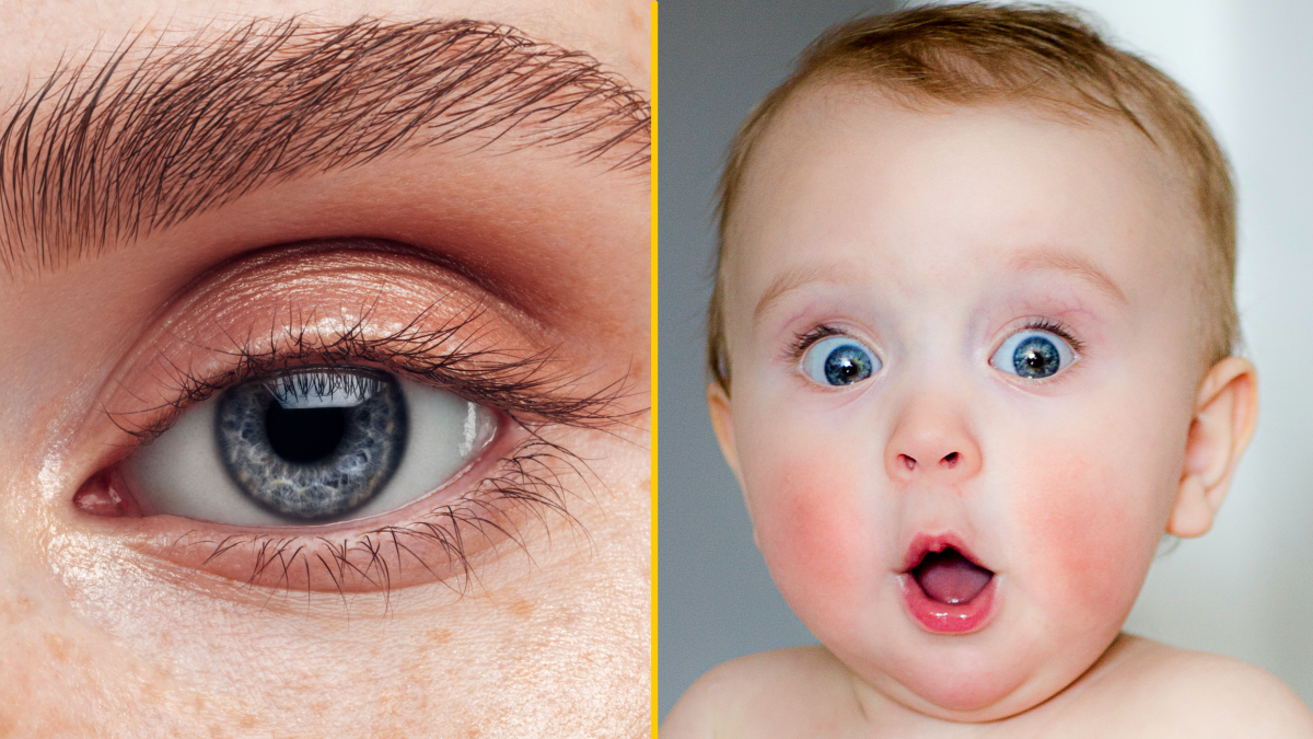Every blue eyed person on Earth is a descendant of one single human ...