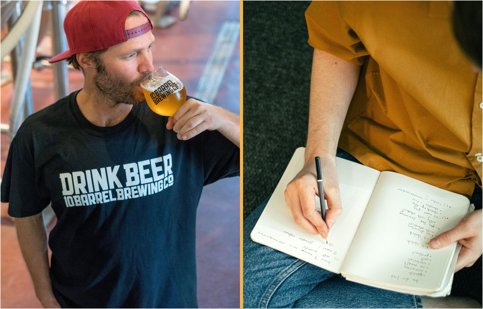 Aldi removing 'use-by' dates on milk bottles and telling shoppers to ...