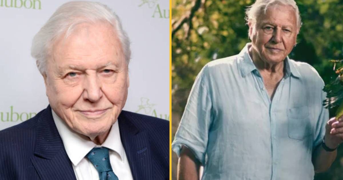 Sir David Attenborough to return with new TV series at 97 years old ...