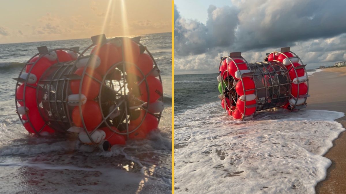 Man arrested for trying to cross Atlantic in human-powered hamster wheel