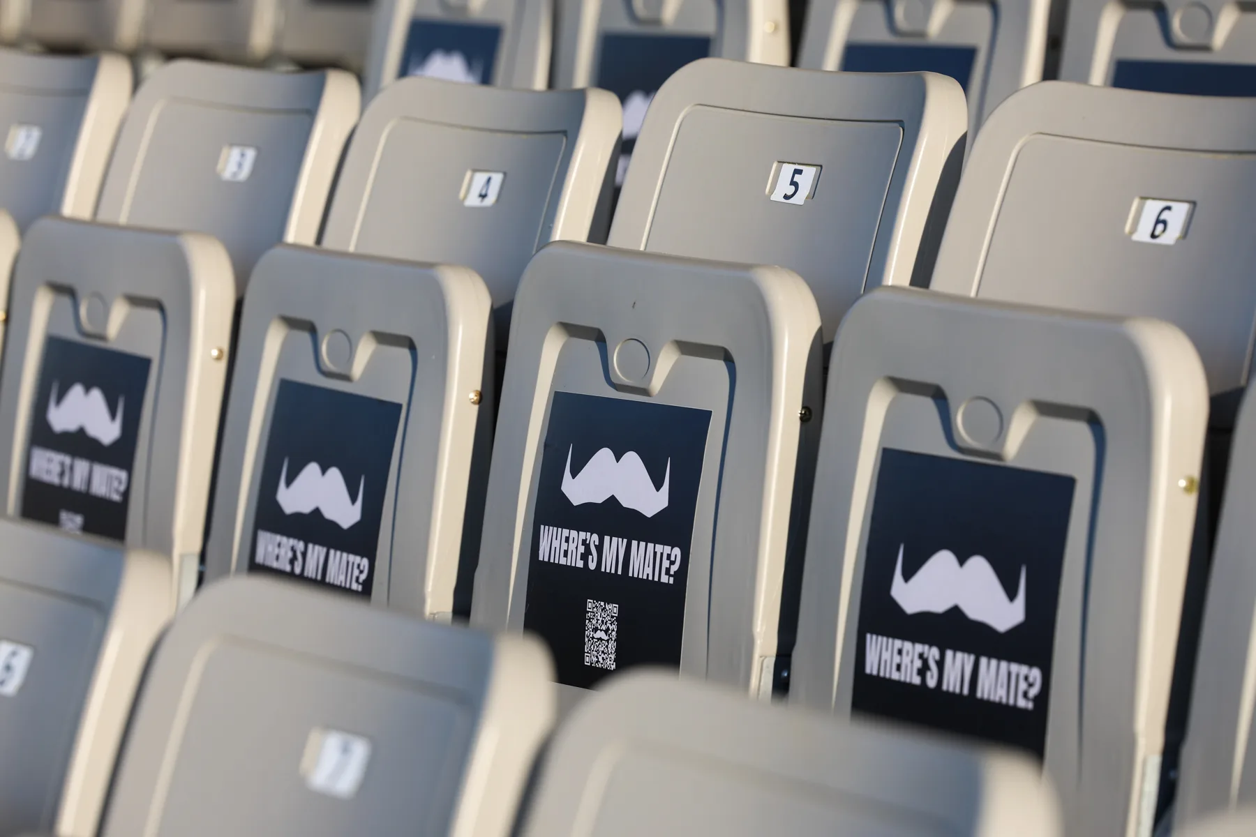 Movember turns empty season ticket seats into a powerful message for ...