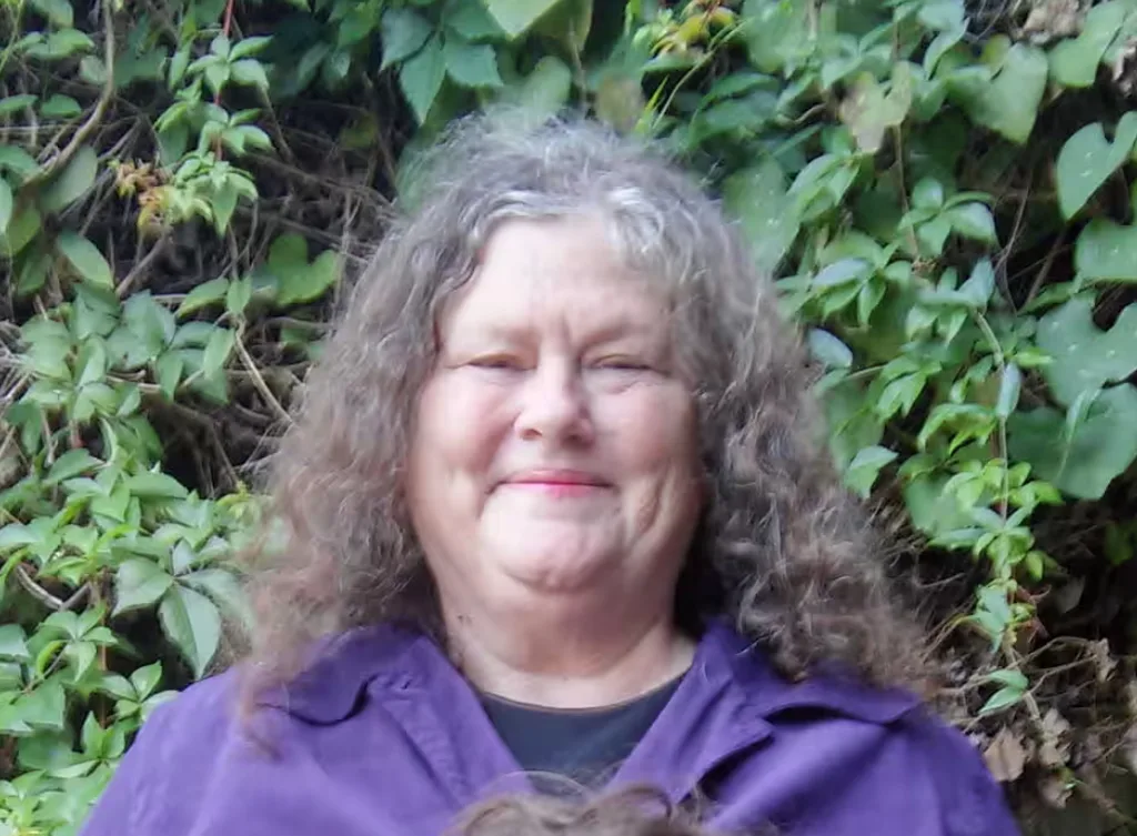 Woman who invented the fidget spinner hasn't made a single penny off ...