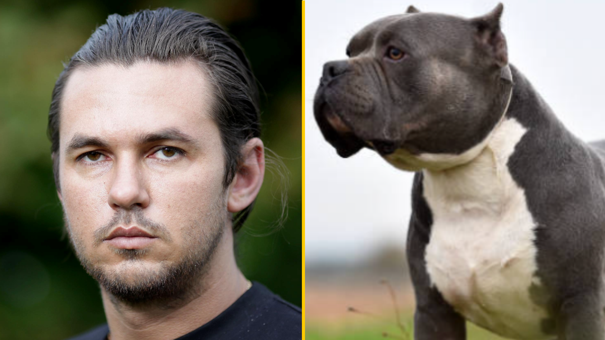 Martial arts expert shares 'best option' to take in an XL bully attack - JOE.co.uk