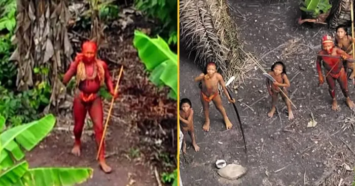 Drone footage captures incredibly rare images of uncontacted people who ...