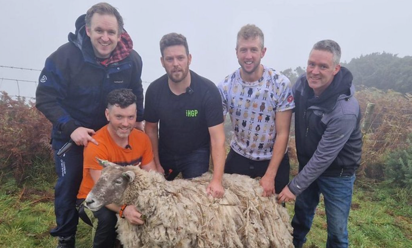 Fiona, the "loneliest sheep in Britain" has been rescued in Scotland