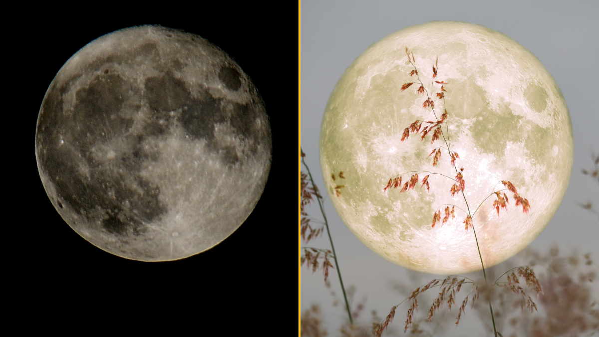 Best time to see full Beaver Moon lighting up UK sky tonight - JOE.co.uk