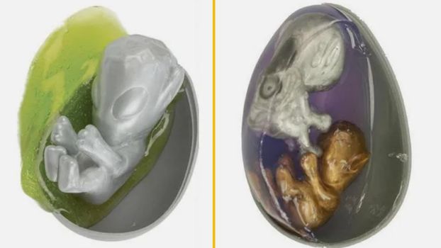Can those Alien Egg toys from the 90s really have babies?