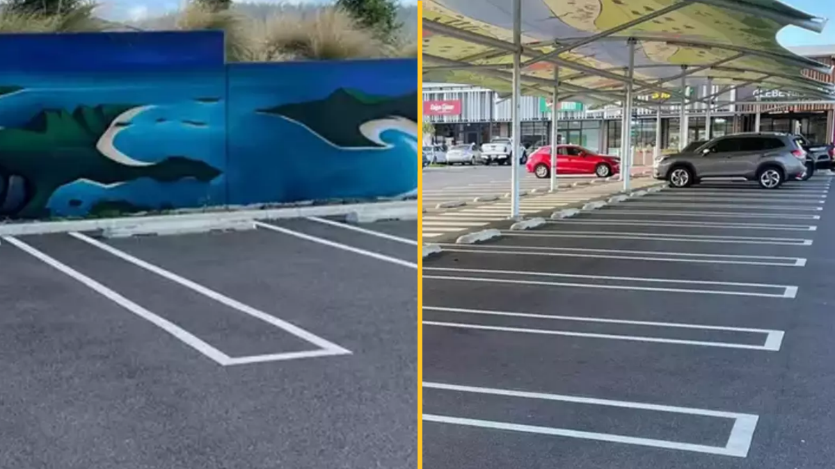 People are calling for this 'genius' parking feature to be implemented ...