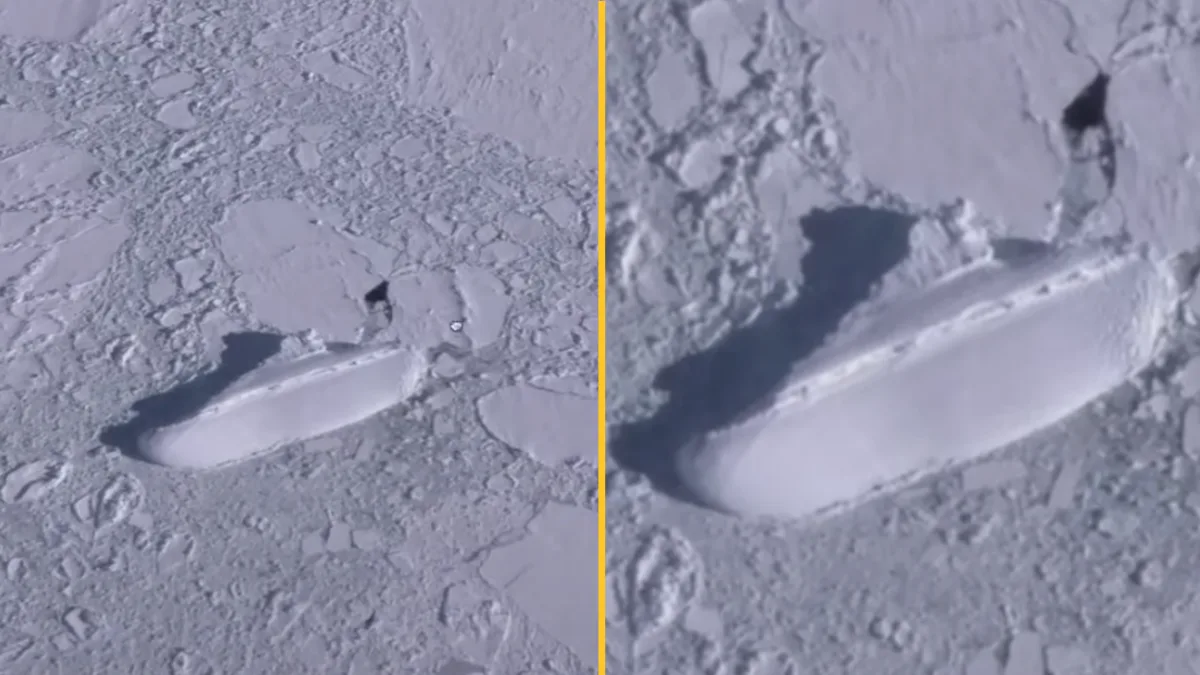 '400ft long ice ship' discovered in Antarctica