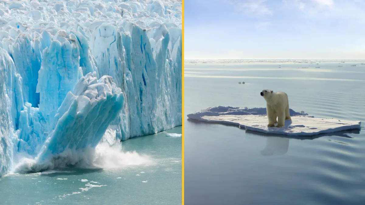 Arctic could be 'ice-free' in 10 years' time - JOE.co.uk