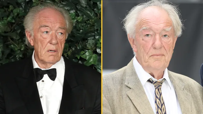 Harry Potter star Michael Gambon's wife inherits fortune leaving long ...