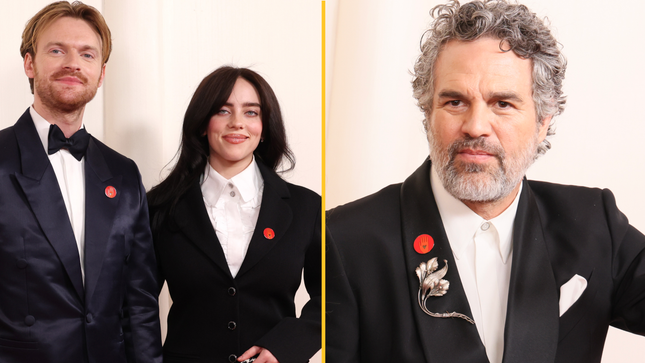 Here's why people were wearing red pins at the Oscars