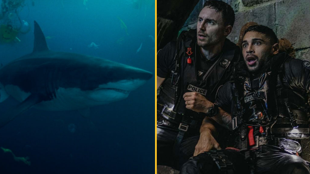 Netflix viewers are saying new film is one of the best shark films ever ...