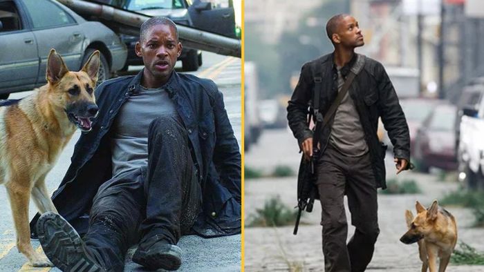 I Am Legend 2 confirmed to be a sequel with Will Smith starring