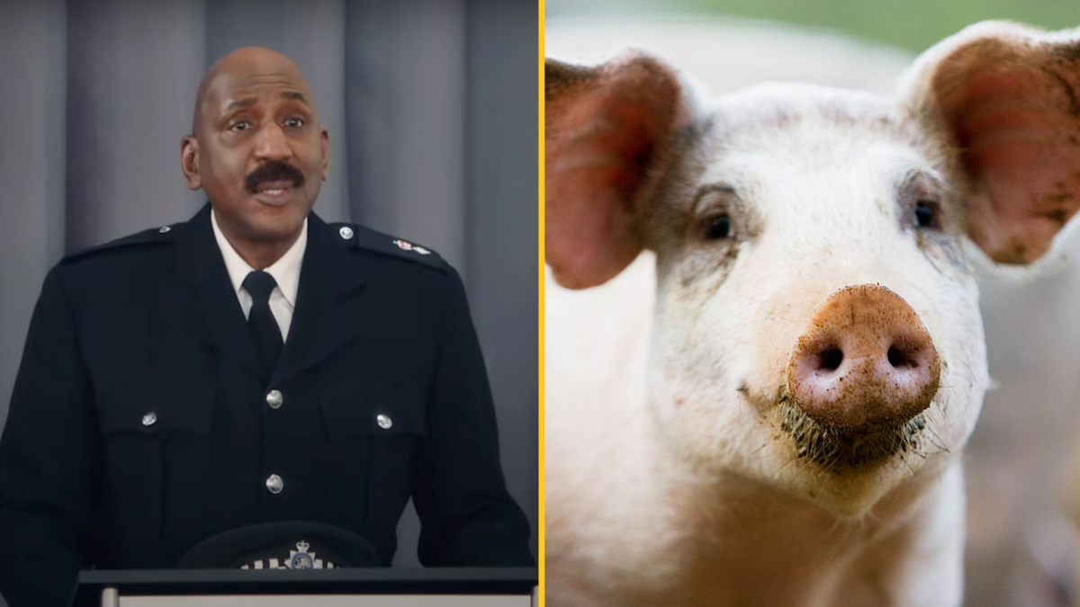Police condemn new ITV comedy show with “highly offensive” name - JOE.co.uk