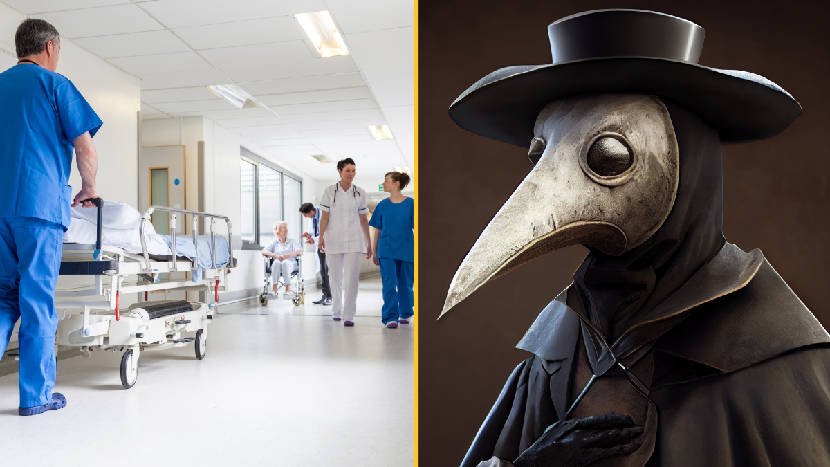 Human case of bubonic plague has been confirmed in US - JOE.co.uk