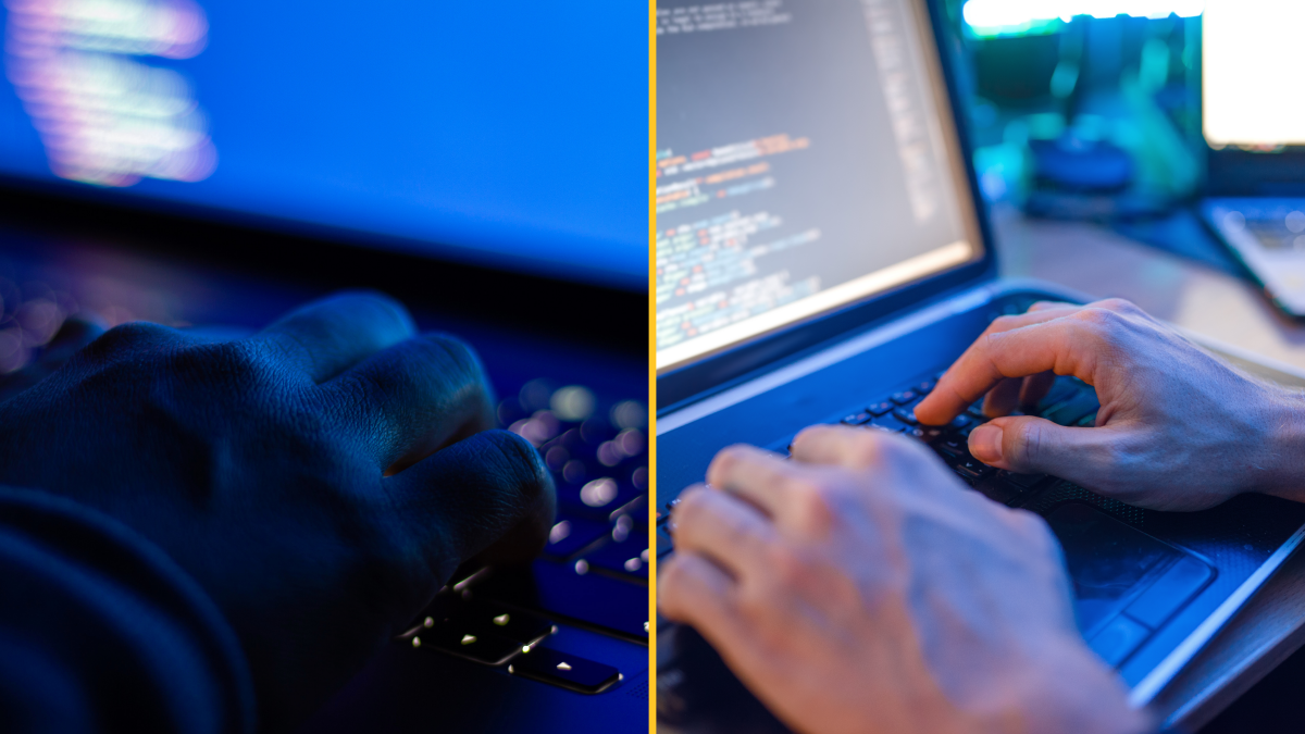 'Most disturbing website on internet' can find every picture of you online