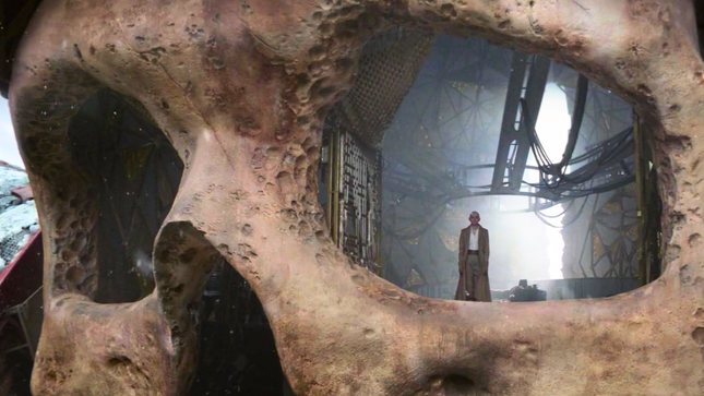 Scientists find that cavemen ate a mostly vegan diet in groundbreaking ...