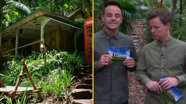 Truth behind I'm a Celeb's 'fake jungle' that has a roof over it