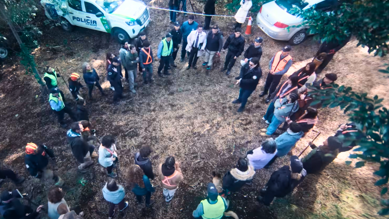 Kin creator opens up about possibility of Season 3 for the hit Irish ...