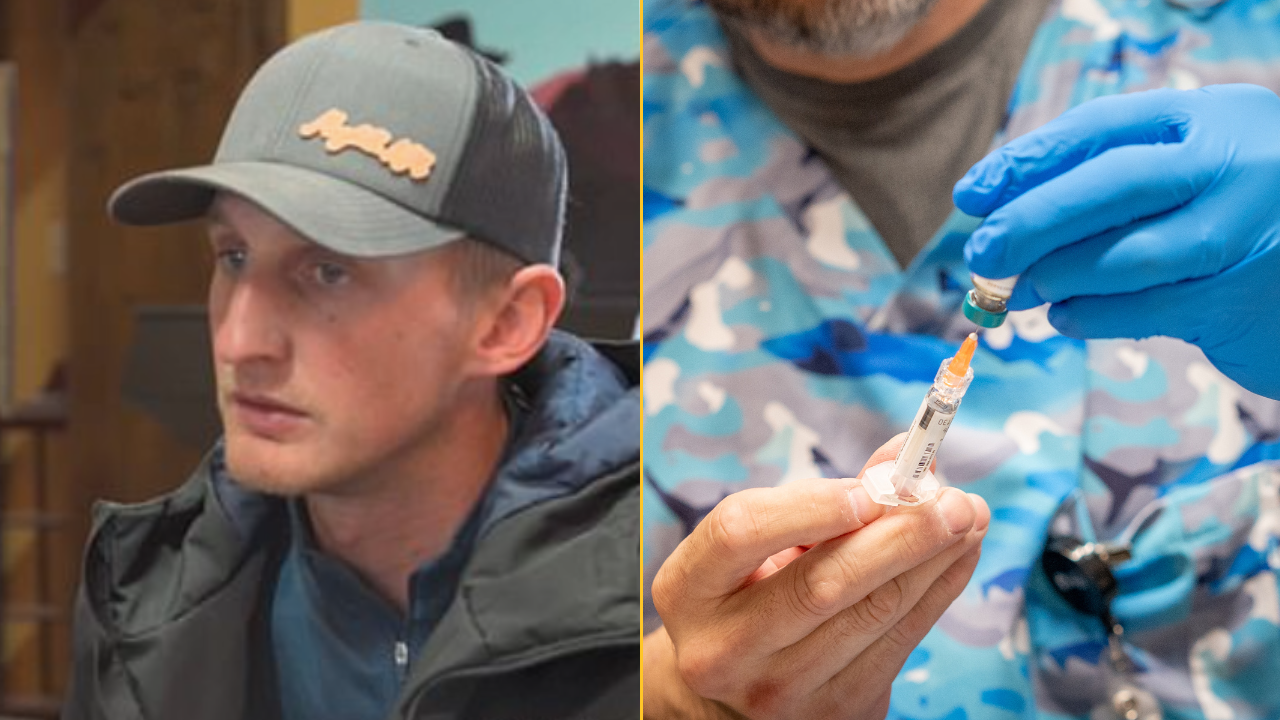 Forensic pathologist explains how Brian Laundrie's body skeletonised so ...