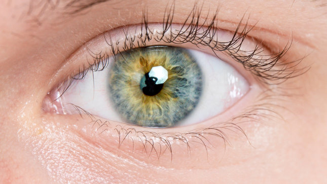 Scientists say they have discovered a new colour no one has ever seen ...