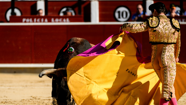 Heartbreaking final words of matador gored to death by bull revealed ...