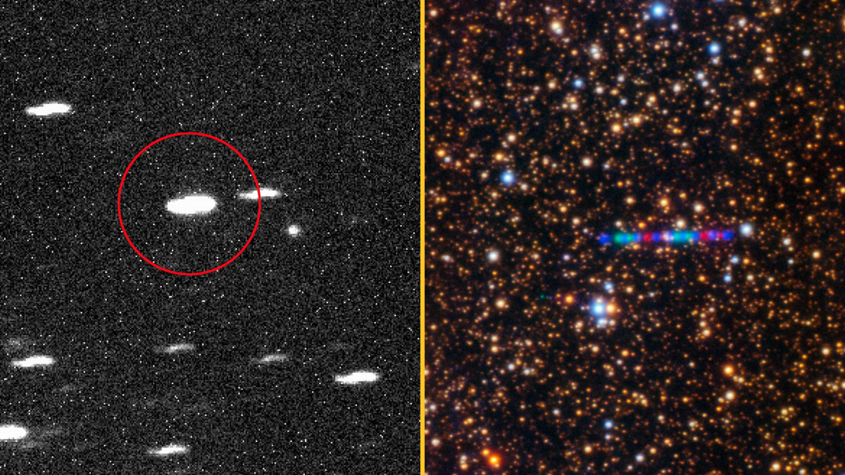 Harvard scientist warns Brits to 'brace themselves' as 'alien spaceship ...