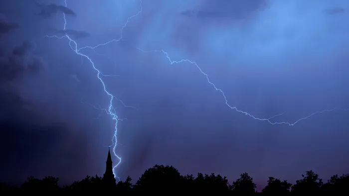 'Zombie spiders' infected by fungus found in UK - JOE.co.uk