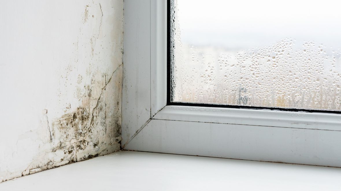 Lewis Capaldi ticket prices revealed for his UK and Ireland arena tour