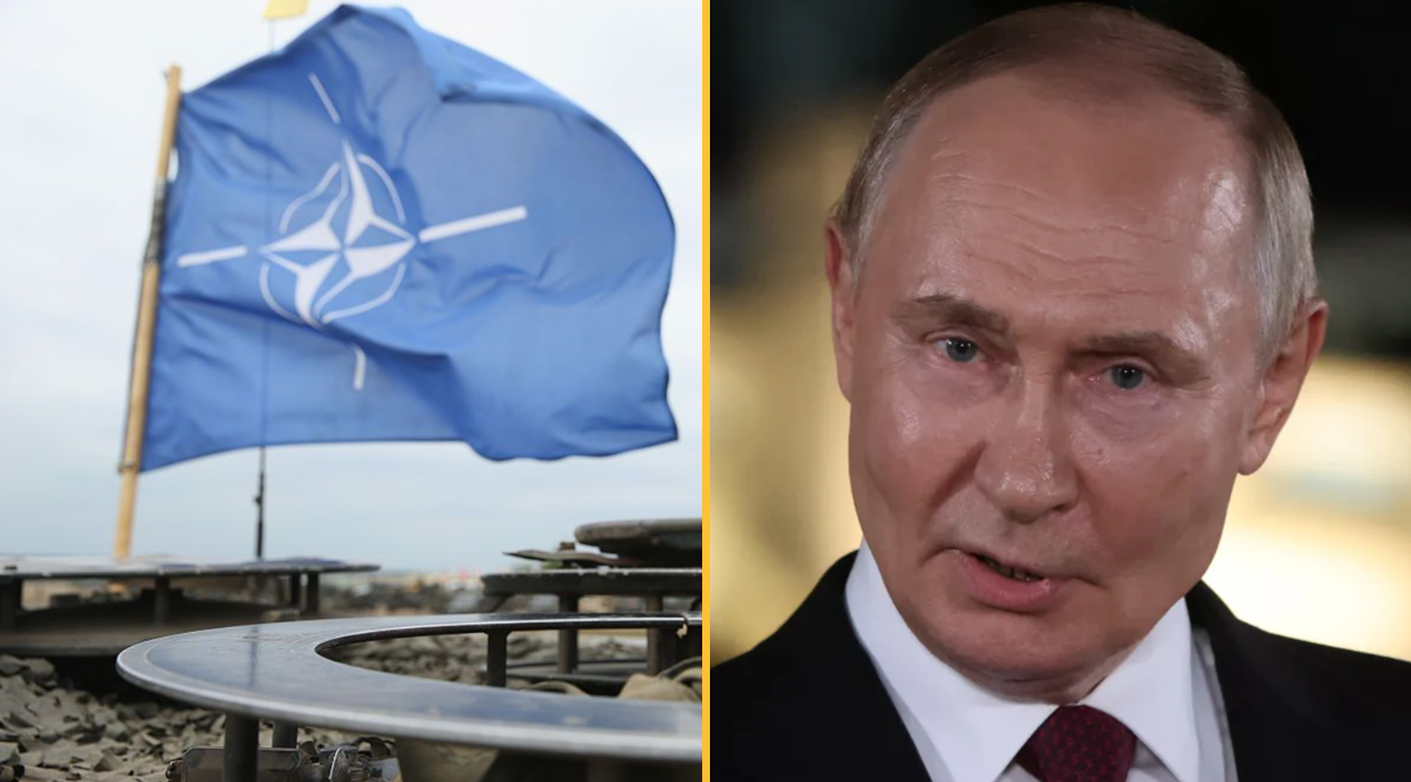 Bokep cantik mulus montok