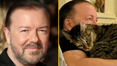 Only capybara cafe in the UK due to open this year - JOE.co.uk